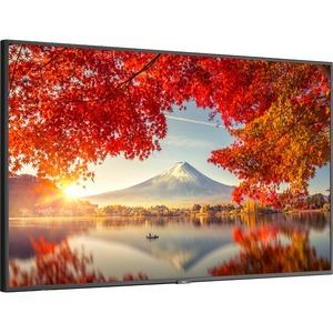 NEC Display 55″ Wide Color Gamut Ultra High Definition Professional Display – Bledsoe Corp